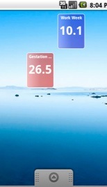 Work Week Widget